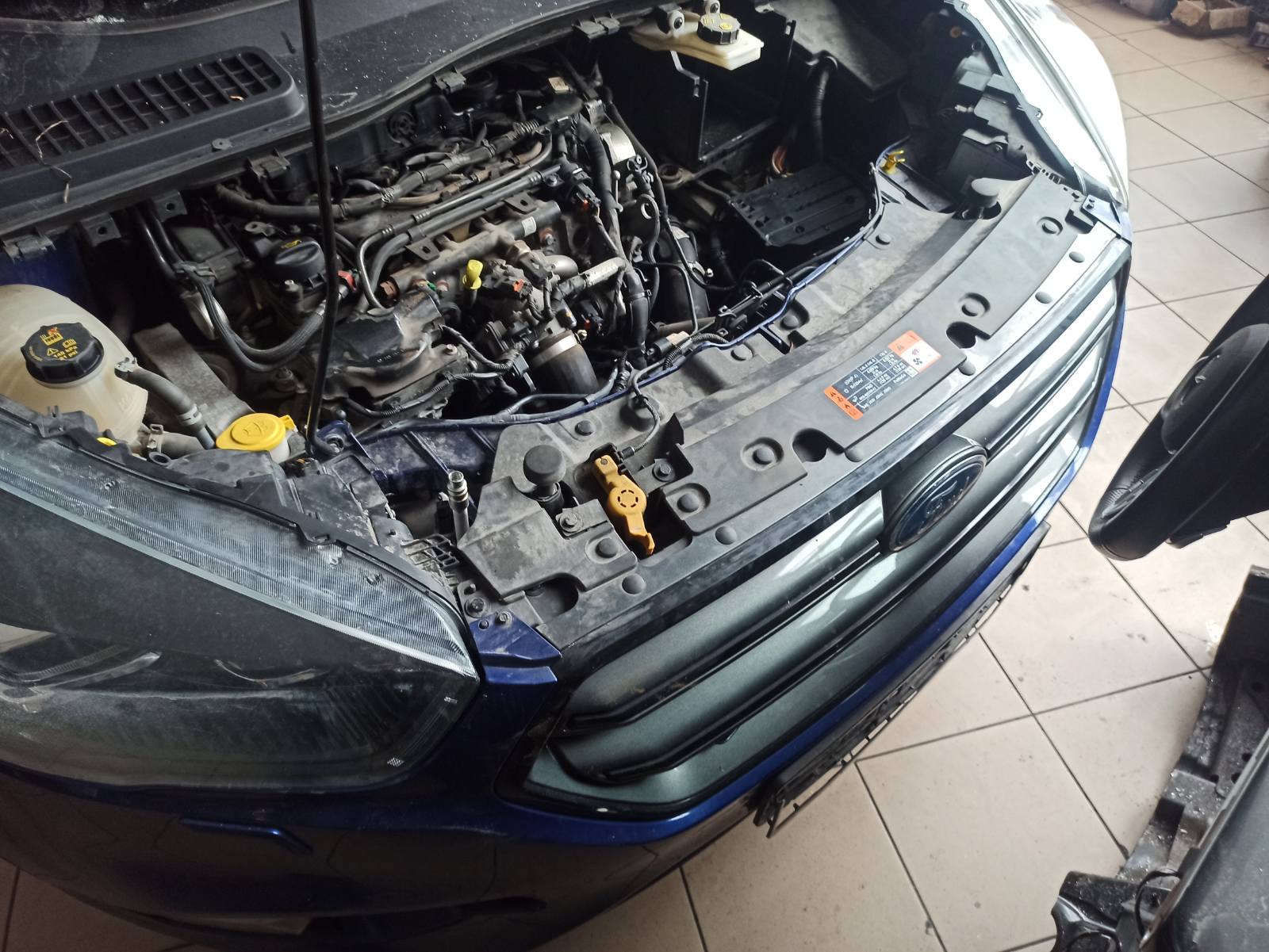 Used Ford Kuga The rear axle pulled 1752565