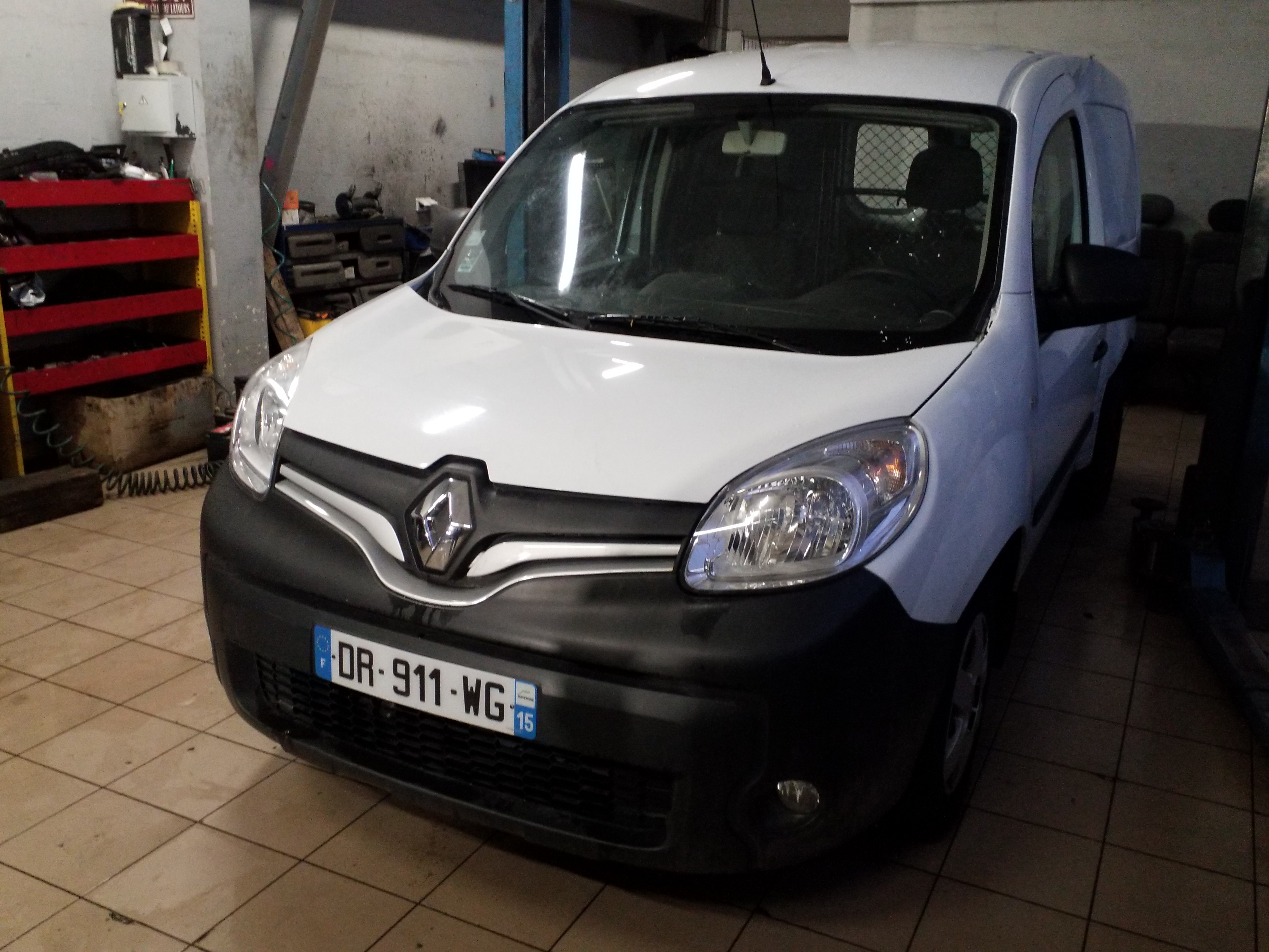Used RENAULT Kangoo Side mirror and its details 963021407R