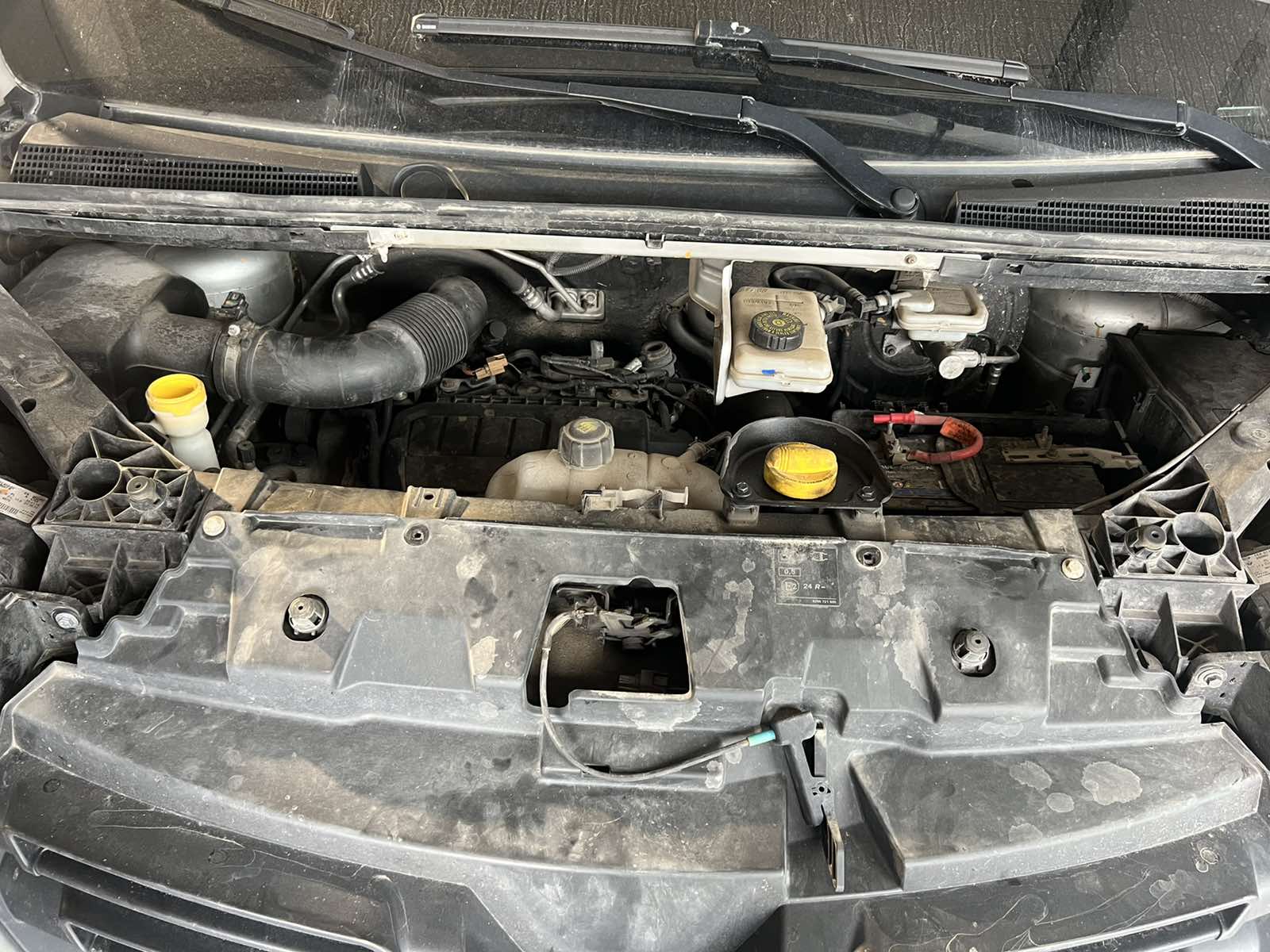 Utilisé RENAULT Trafic Pompe de direction assistée électrique 491100616R